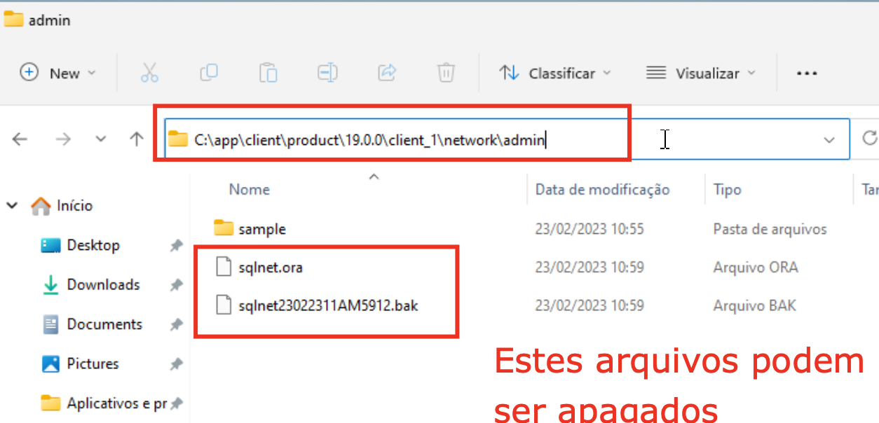 Como realizar a instalação do Client Oracle 19c no Windows 11 ARM e ...